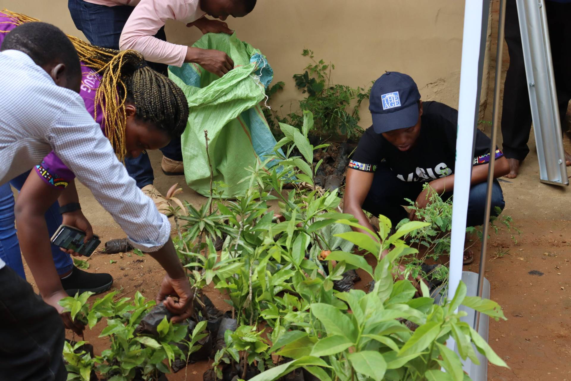 Bees and Trees Uganda – For people and nature