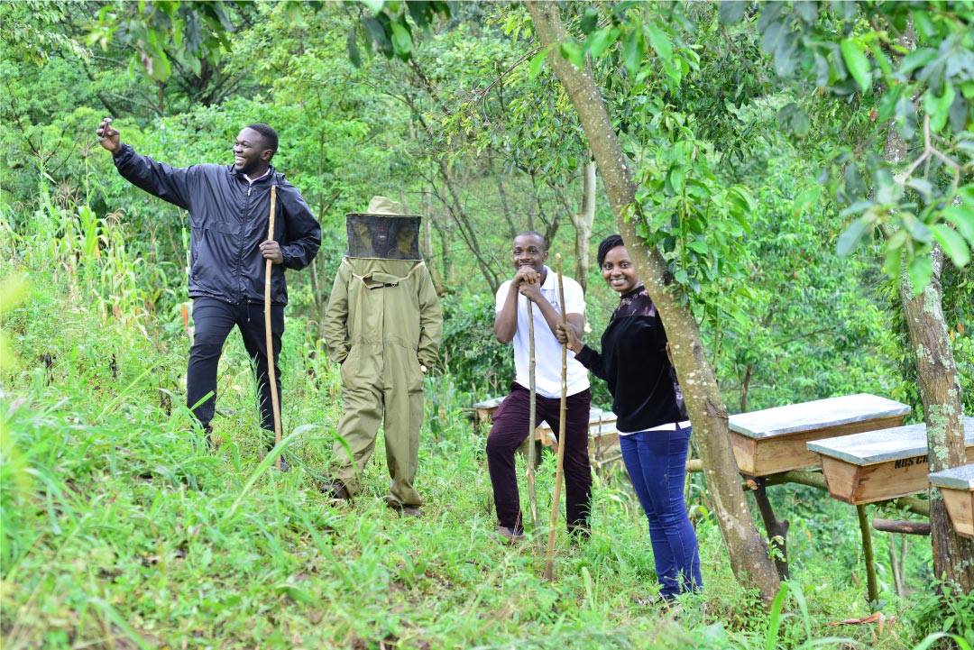 Bees and Trees Uganda – For people and nature